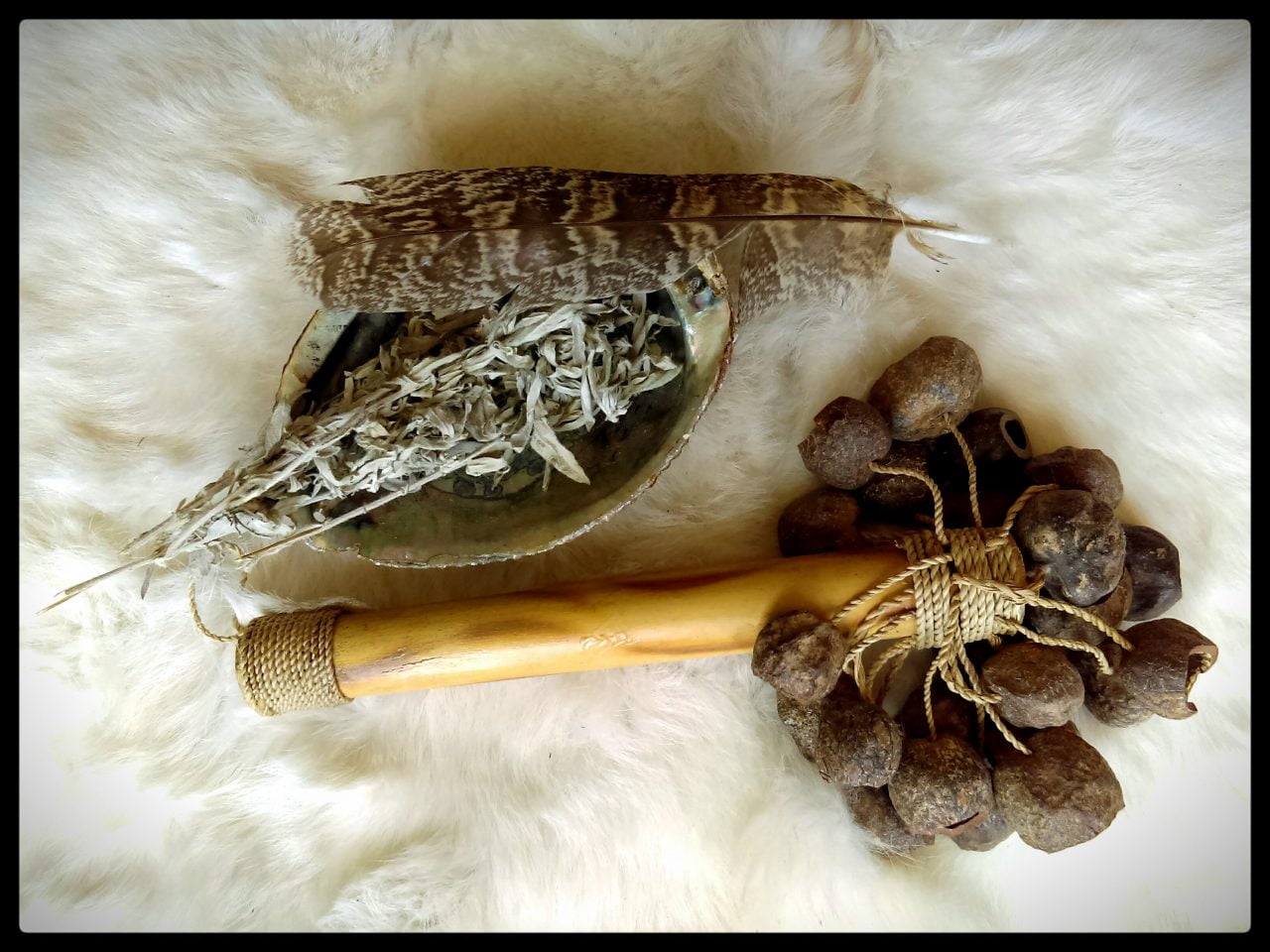 Seed Pod Rattle - Wind Spirit Teaching